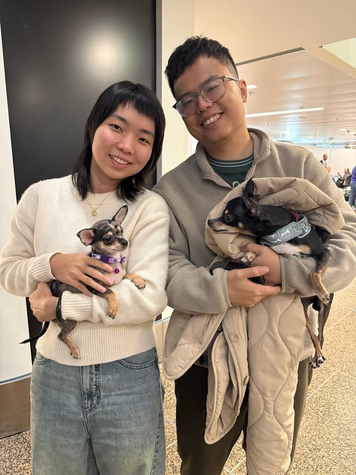 Pet Flight Nanny, and In-Cabin Pet Delivery Services | Pet Jet Pals