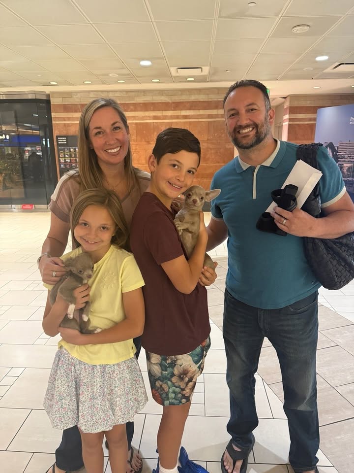 Pet Flight Nanny, and In-Cabin Pet Delivery Services | Pet Jet Pals