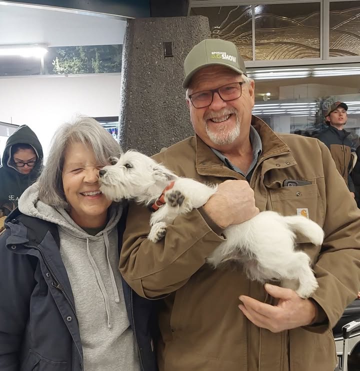 Pet Flight Nanny, and In-Cabin Pet Delivery Services | Pet Jet Pals