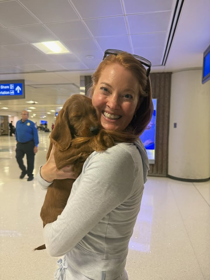 Pet Flight Nanny, and In-Cabin Pet Delivery Services | Pet Jet Pals