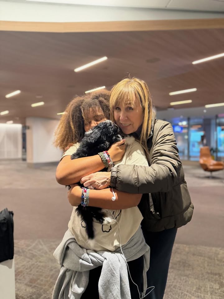 Pet Flight Nanny, and In-Cabin Pet Delivery Services | Pet Jet Pals